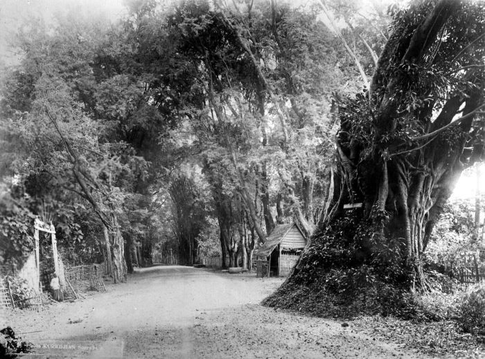 De Grote Postweg van Java (foto’s) | In de Archipel